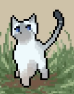 Swallowshine | ClanGen-History of AcaciaClan Wiki | Fandom