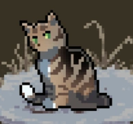 Lizardtail | ClanGen-History of AcaciaClan Wiki | Fandom