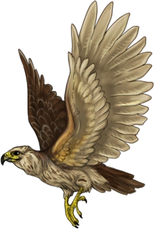 Hawk | Clanheart Wiki | Fandom