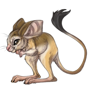 Jerboa (Familiar) | Clanheart Wiki | Fandom