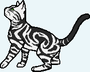 Shadowtail | Clans Of The Sea Wiki | Fandom