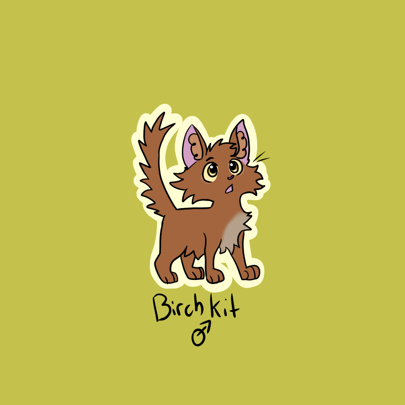 Birchkit | Clans of The Sick Wiki | Fandom