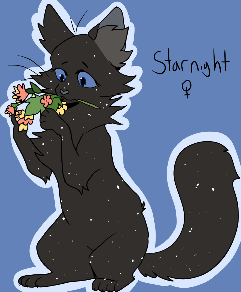 Starnight | Clans of The Sick Wiki | Fandom