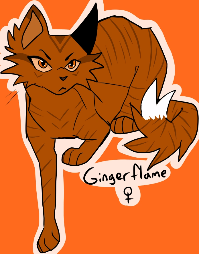 Gingerflame | Clans of The Sick Wiki | Fandom