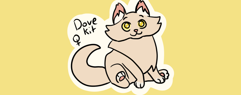 Dovekit | Clans of The Sick Wiki | Fandom