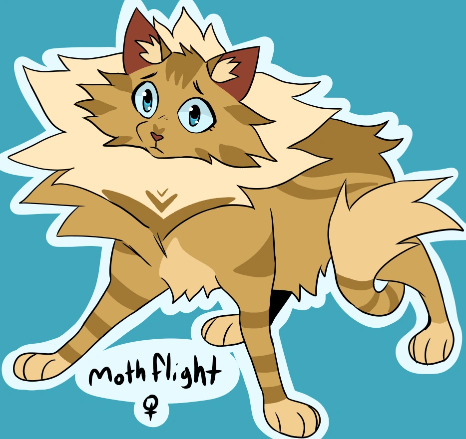 Mothflight | Clans of The Sick Wiki | Fandom