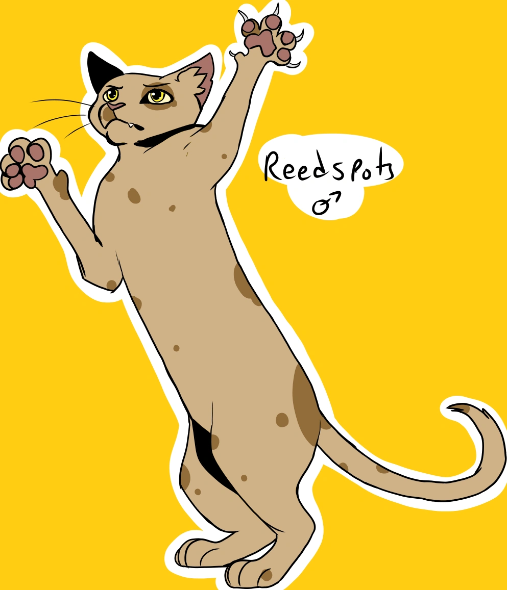 Reedspots | Clans of The Sick Wiki | Fandom