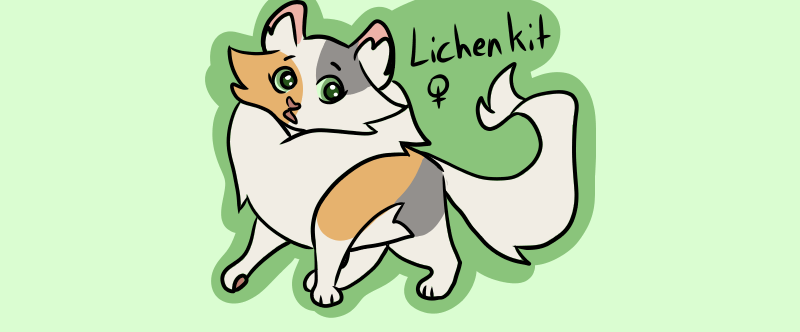 Lichenkit | Clans of The Sick Wiki | Fandom