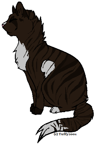 Tigerstar | Clan's Rise Wiki | Fandom