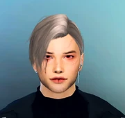 Ethan Slade | Clare Siobhan Sims 4 Wiki | Fandom