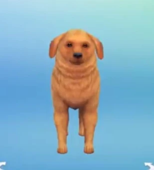 Astro (Dog) | Clare Siobhan Sims 4 Wiki | Fandom