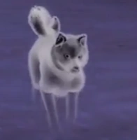 Meeko | Clare Siobhan Sims 4 Wiki | Fandom