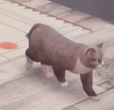 Frankie (Cat) | Clare Siobhan Sims 4 Wiki | Fandom