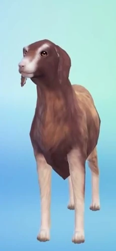 Billy (Goat) | Clare Siobhan Sims 4 Wiki | Fandom