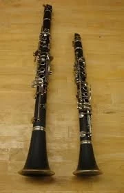 Clarinet Family | Clarinet Wiki | Fandom