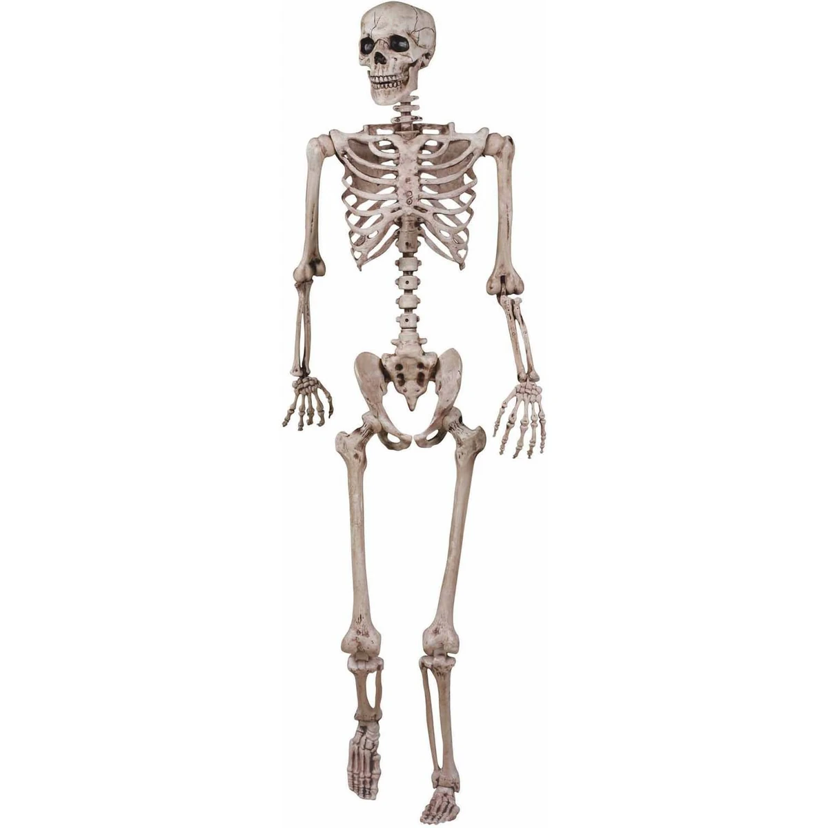 Skeleton Men | Clash of the Skylanders with Ponies: Altered Beast Wiki ...