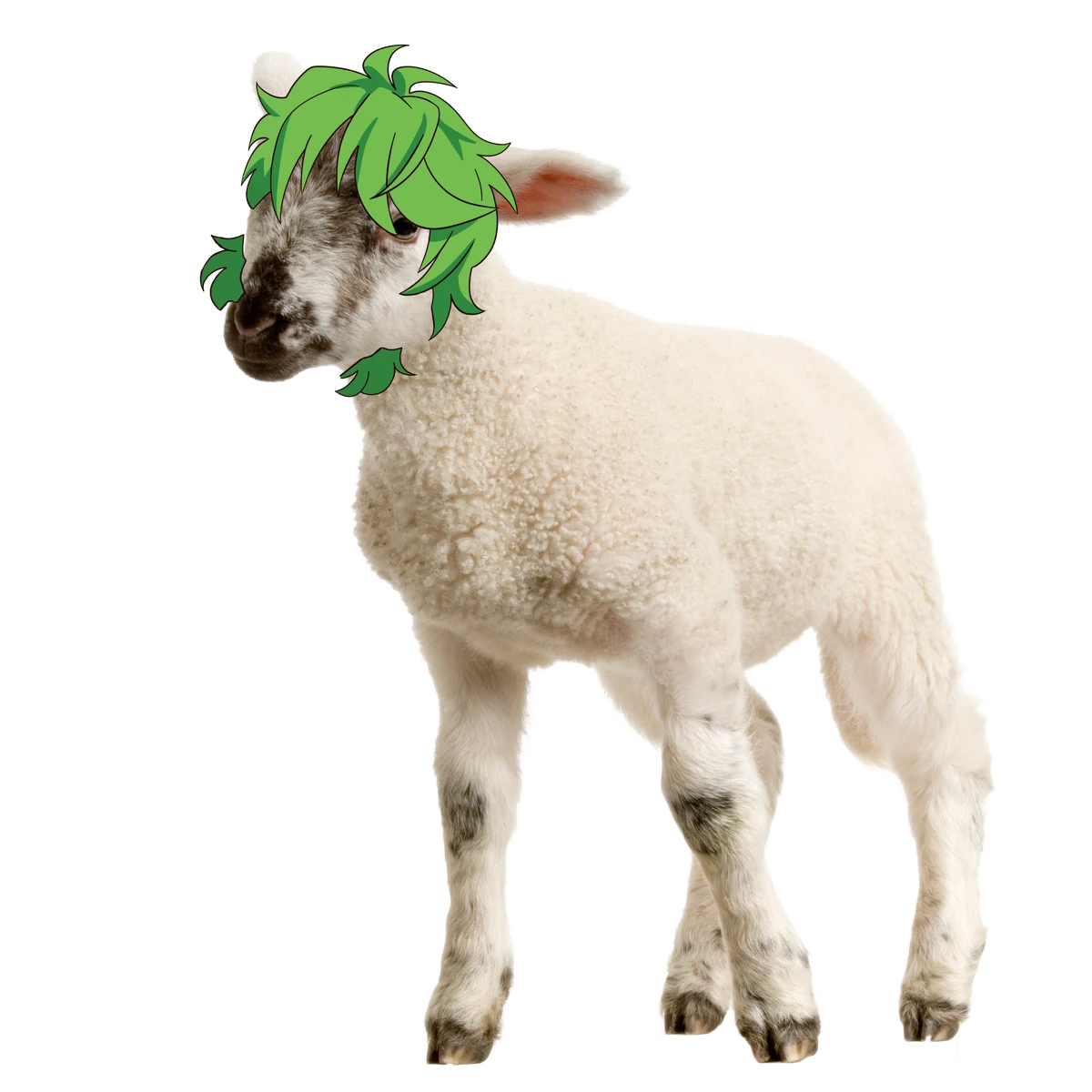 Nana Kobenai | My Hero Tabletop: Class 1-C Wiki | Fandom