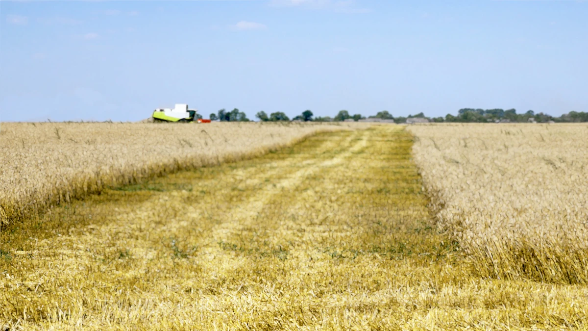 Field | Class of '09 Wiki | Fandom