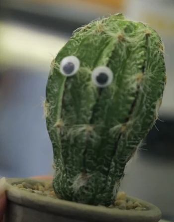 The Cactus | Titan Academy Wiki | Fandom