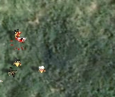 Infected | Class3outbreak Wiki | Fandom