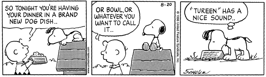 August 20 | Classic Peanuts Comic Strips Wiki | Fandom