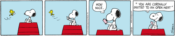 2004 | Classic Peanuts Comic Strips Wiki | Fandom