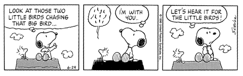 June 29 | Classic Peanuts Comic Strips Wiki | Fandom