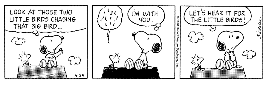 June 29 | Classic Peanuts Comic Strips Wiki | Fandom