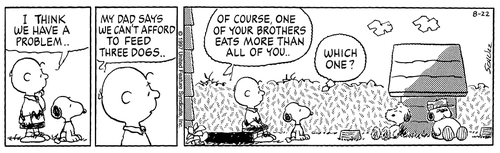 August 22 | Classic Peanuts Comic Strips Wiki | Fandom