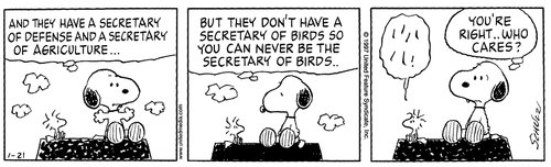 January 21 | Classic Peanuts Comic Strips Wiki | Fandom