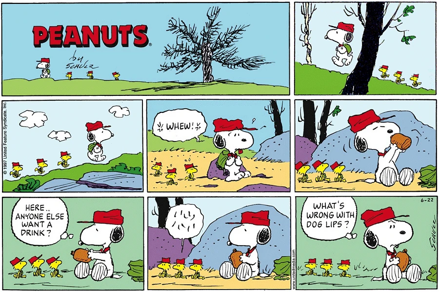 June 22 | Classic Peanuts Comic Strips Wiki | Fandom