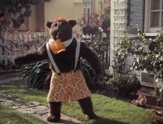 Careless Bears | Classic Television Commercials (1941-1970) Wiki | Fandom