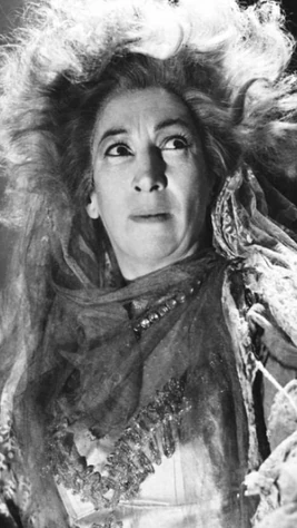 Miss Havisham | Classic Literature Wikia | Fandom