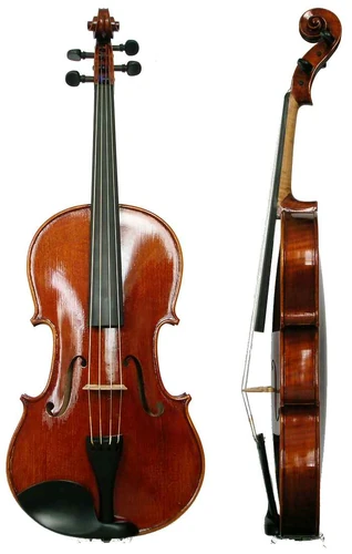 Viola | Classical Music Wiki | Fandom