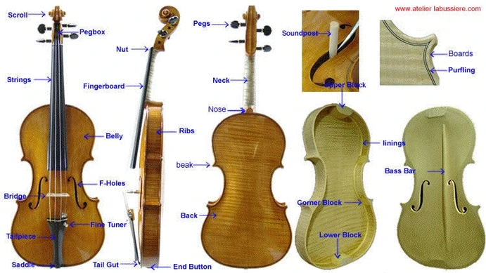 Violin | Classical Music Wiki | Fandom