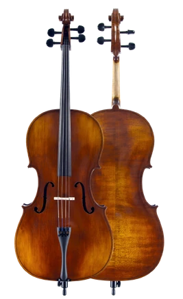 Cello | Classical Music Wiki | Fandom