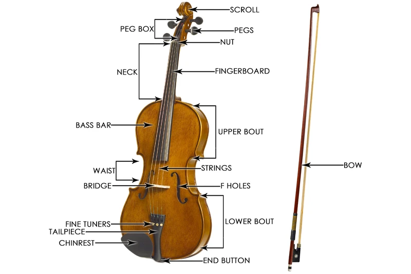 Viola | Classical Music Wiki | Fandom