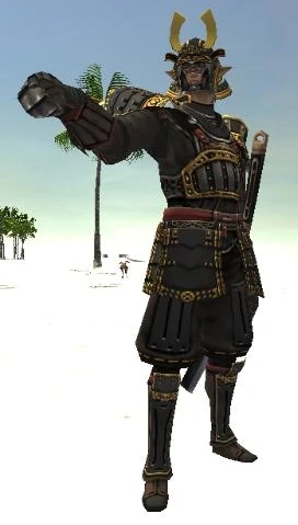 Saotome Armor Set | Classic FFXI community | Fandom