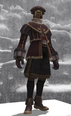 Bard's Attire +1 Set | Classic FFXI community | Fandom