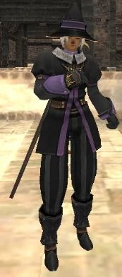 Sorcerer's Attire +1 Set | Classic FFXI community | Fandom