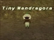 Tiny Mandragora | Classic FFXI community | Fandom