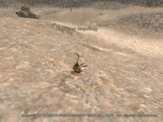 Walking Sapling | Classic FFXI community | Fandom