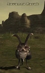 Savanna Rarab | Classic FFXI community | Fandom