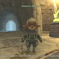 Wabble-Mopple | Classic FFXI community | Fandom