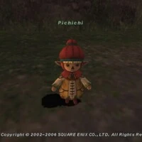 Pichichi | Classic FFXI community | Fandom