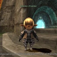 Pakke-Pokke | Classic FFXI community | Fandom
