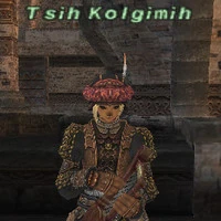 Tsih Kolgimih | Classic FFXI community | Fandom
