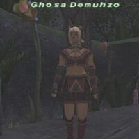 Ghosa Demuhzo | Classic FFXI community | Fandom