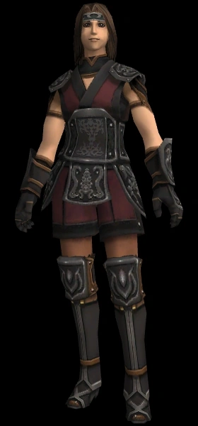 Melee Attire Set | Classic FFXI community | Fandom