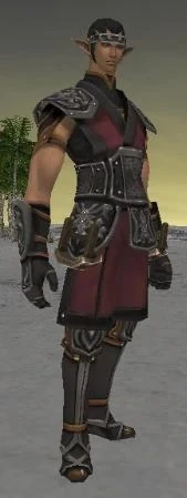 Melee Attire Plus 1 Set | Classic FFXI community | Fandom